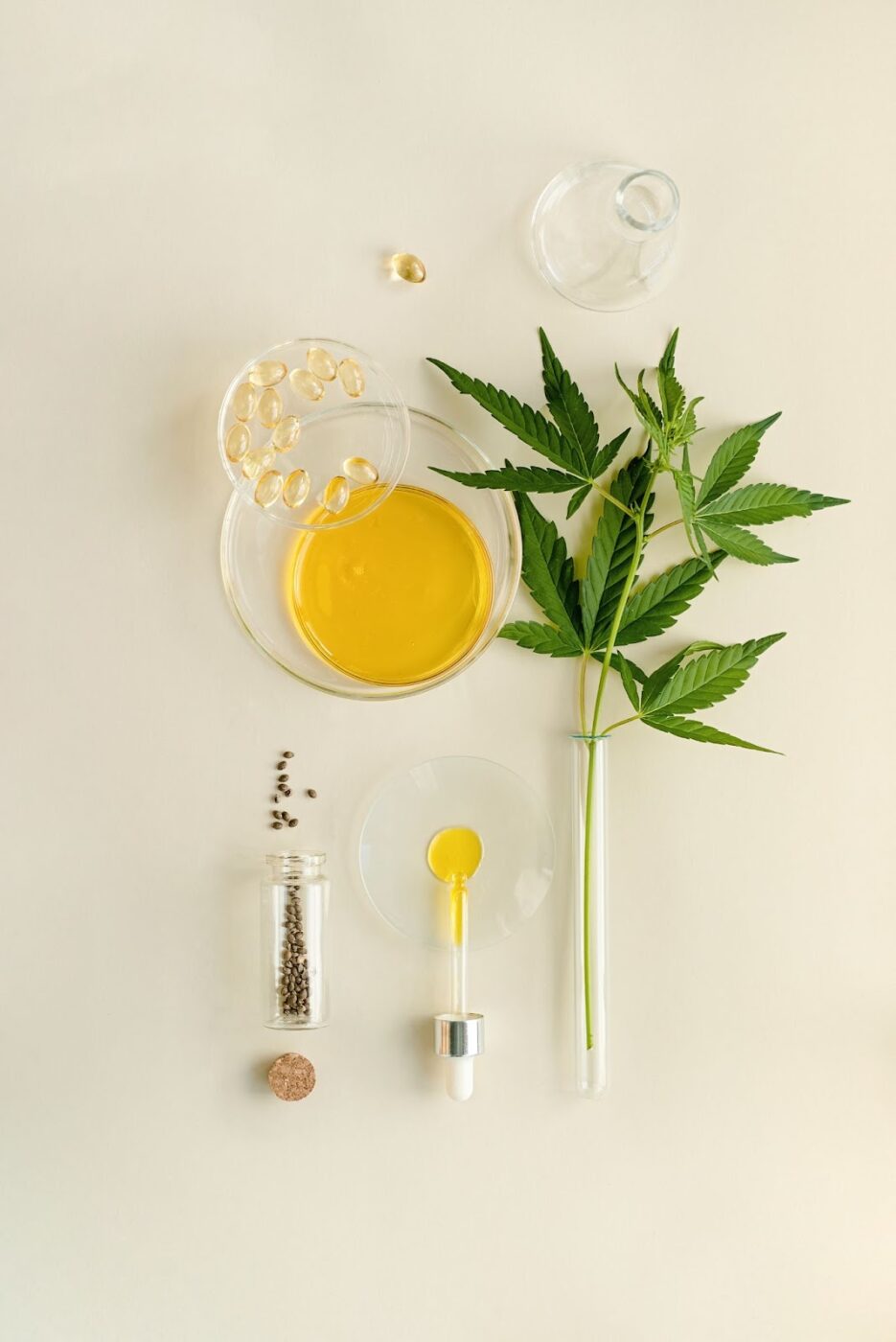 Wax Dabs & Dab Shatter: Cannabis Concentrates Explained | Planet 13 Las ...